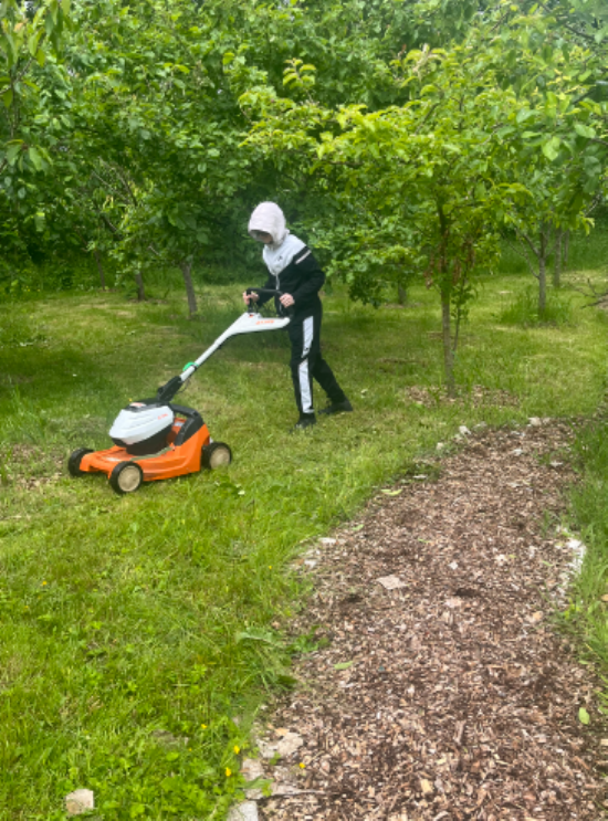 Spring Board Project - Home