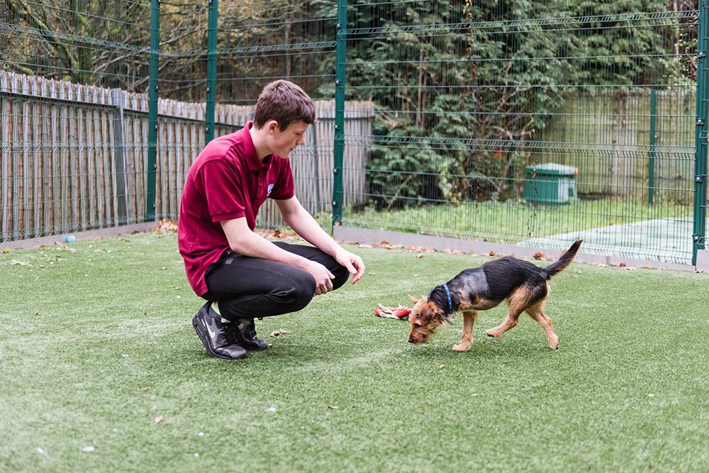 Home - springboardproject.org